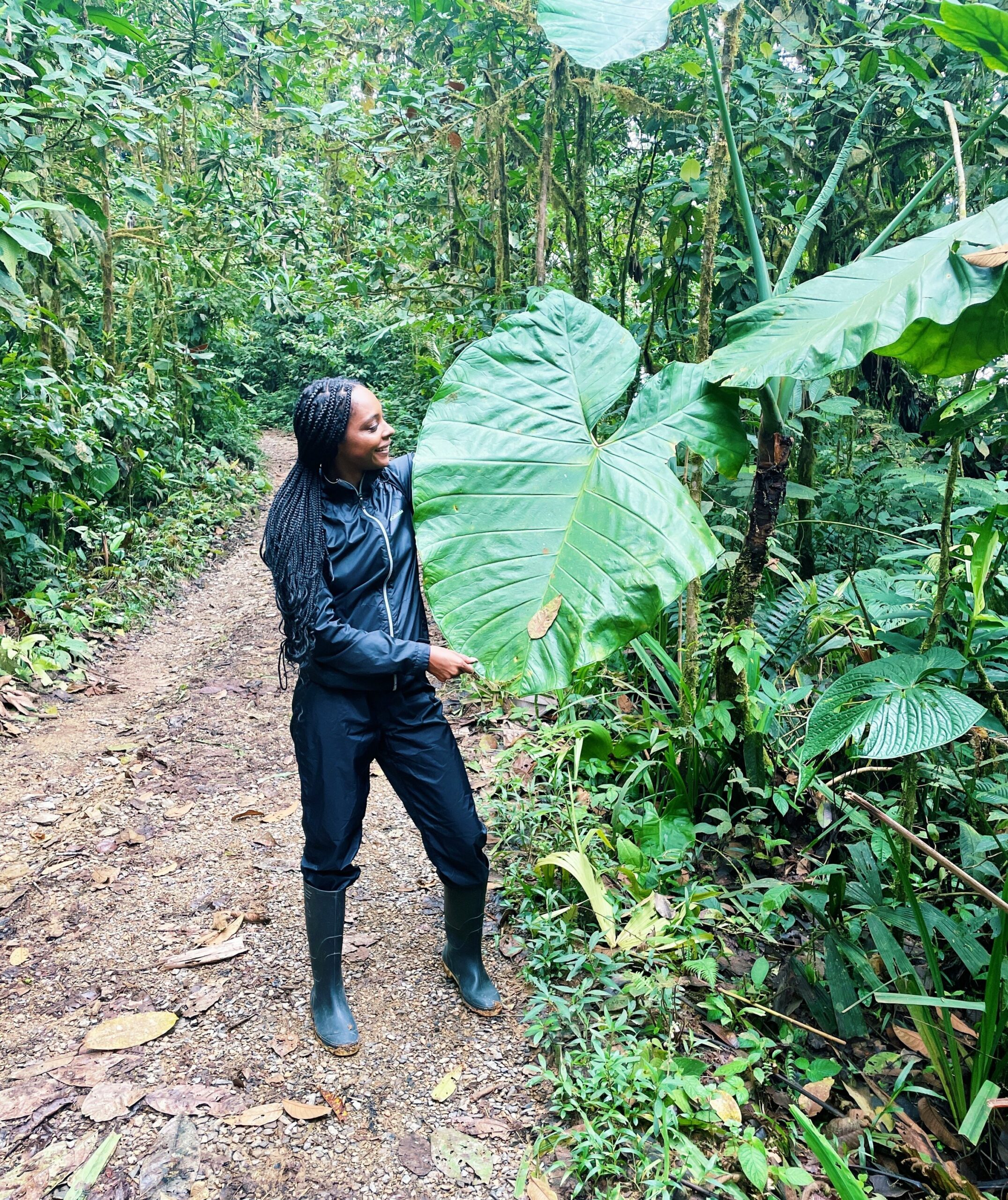 Mashpi Lodge- Review of a Luxurious Ecuador Rainforest Lodge – Travel ...
